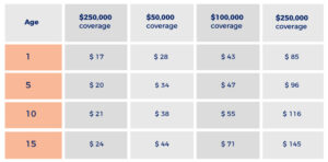 Life Insurance Rates by Age Chart - Magnum Insurance